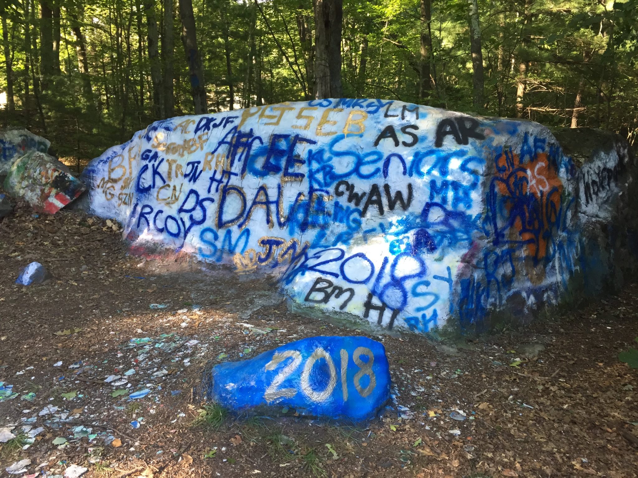If Rocks Could Talk - Dana Meachen Rau